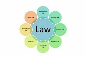 Different areas of specialization for a lawyer that you should know ...