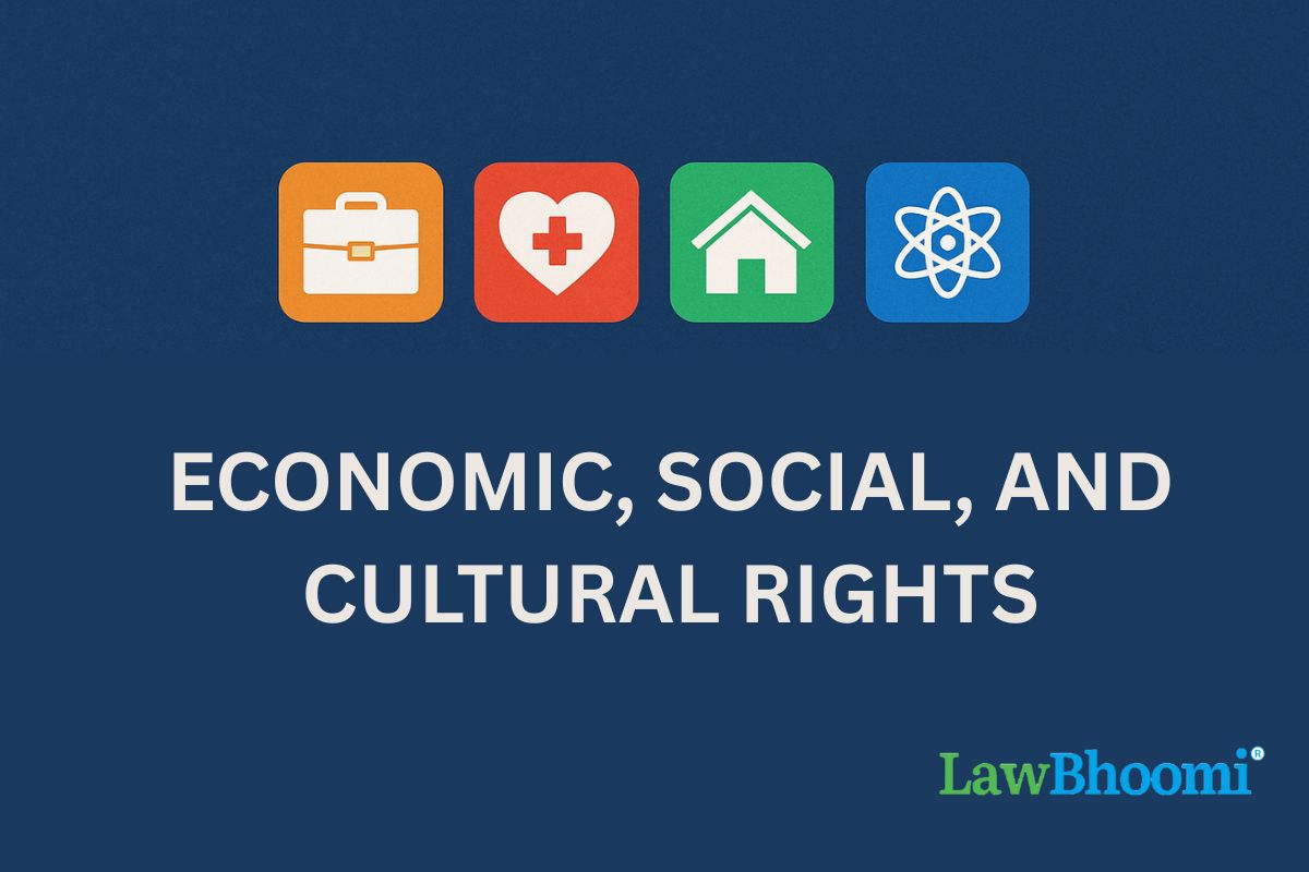 What are Economic, Social, and Cultural Rights?